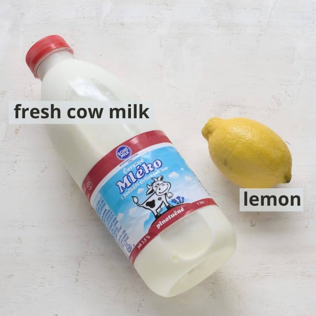 Homemade Czech Tvaroh Cheese - Cook Like Czechs