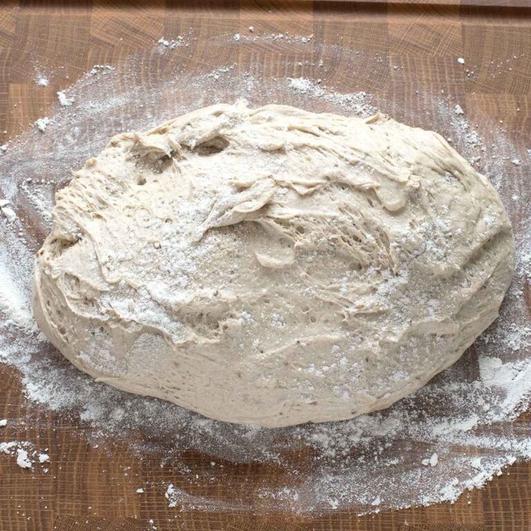Rye Bread Rolls (Czech Dalamánky) - Cook Like Czechs