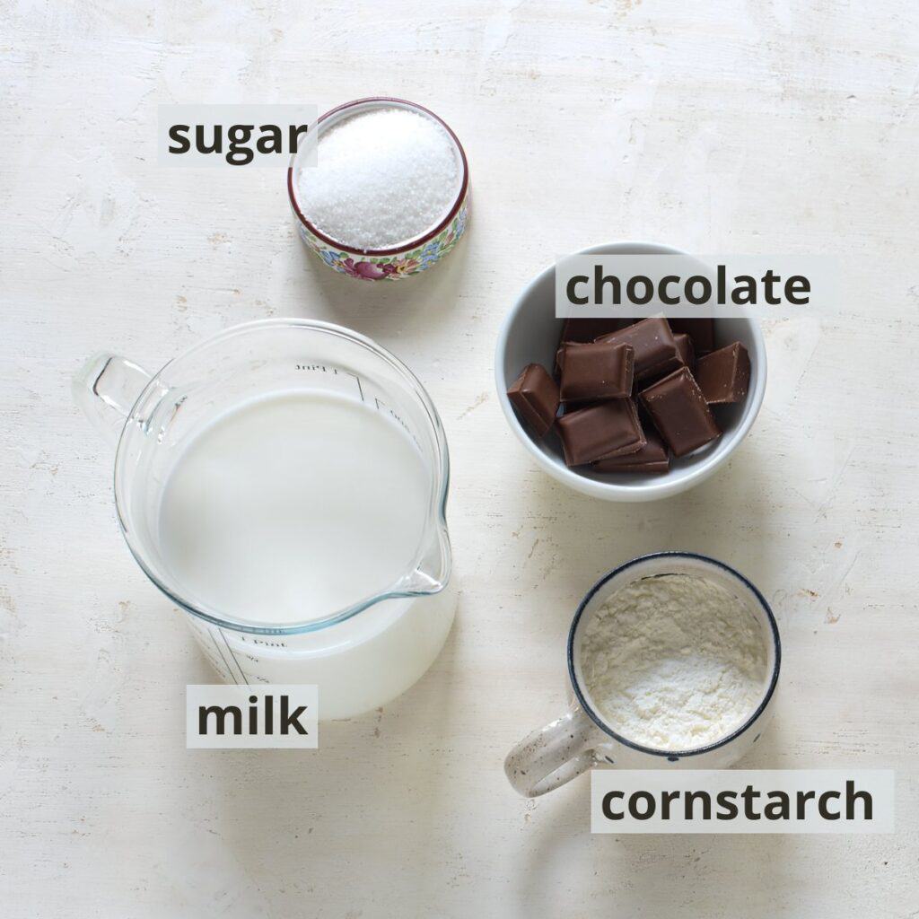 Czech Chocolate Pudding (Čokoládový pudink) - Cook Like Czechs